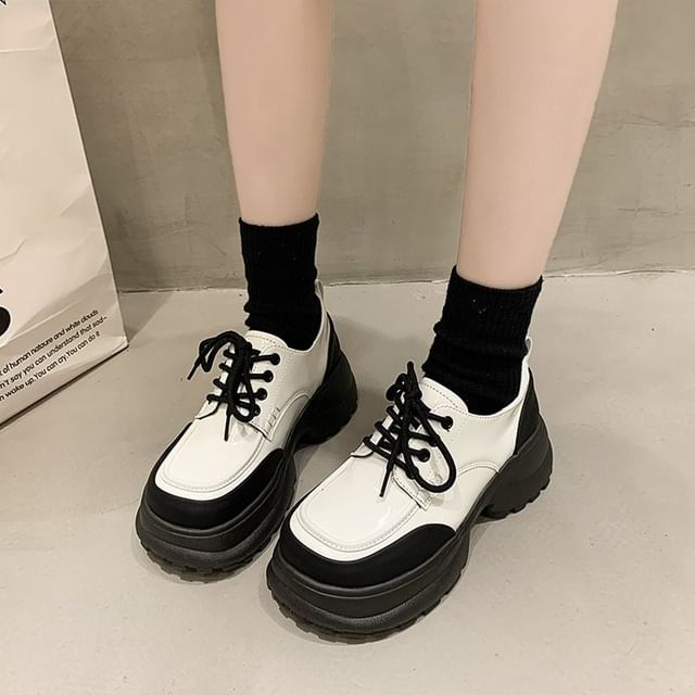 Platform Panel Lace Up Shoes – Genistyle Shop